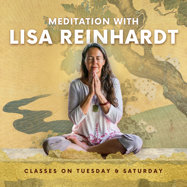 Lisa Reinhardt – SAN Center Phoenix